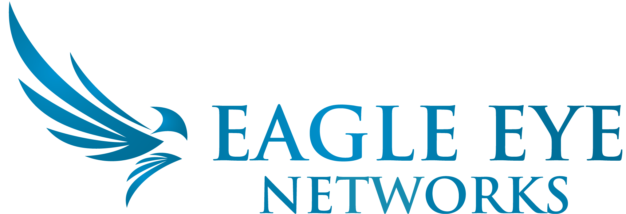 EEN -Logo-Horizontal | Eagle Eye Networks