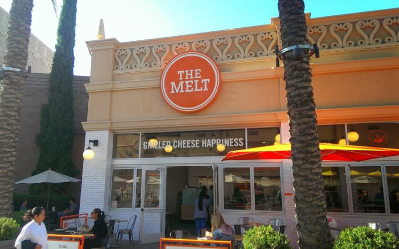 The Melt - Video Surveillance Case