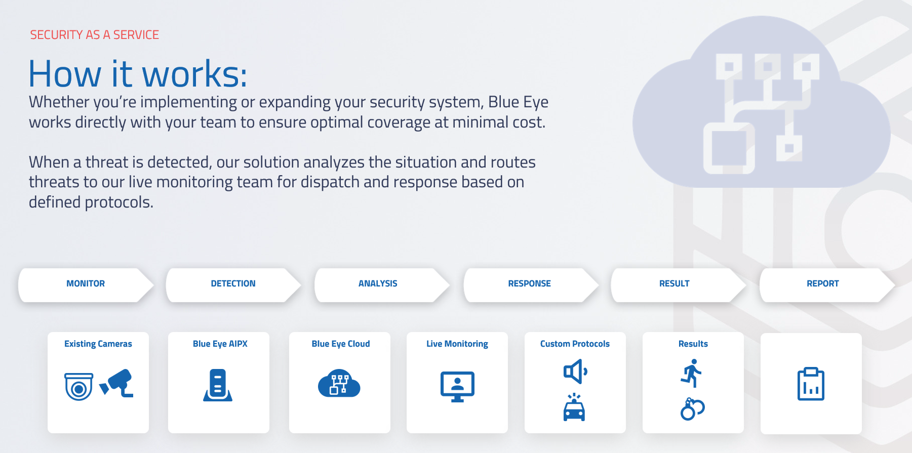 Blue Eye | Eagle Eye Networks