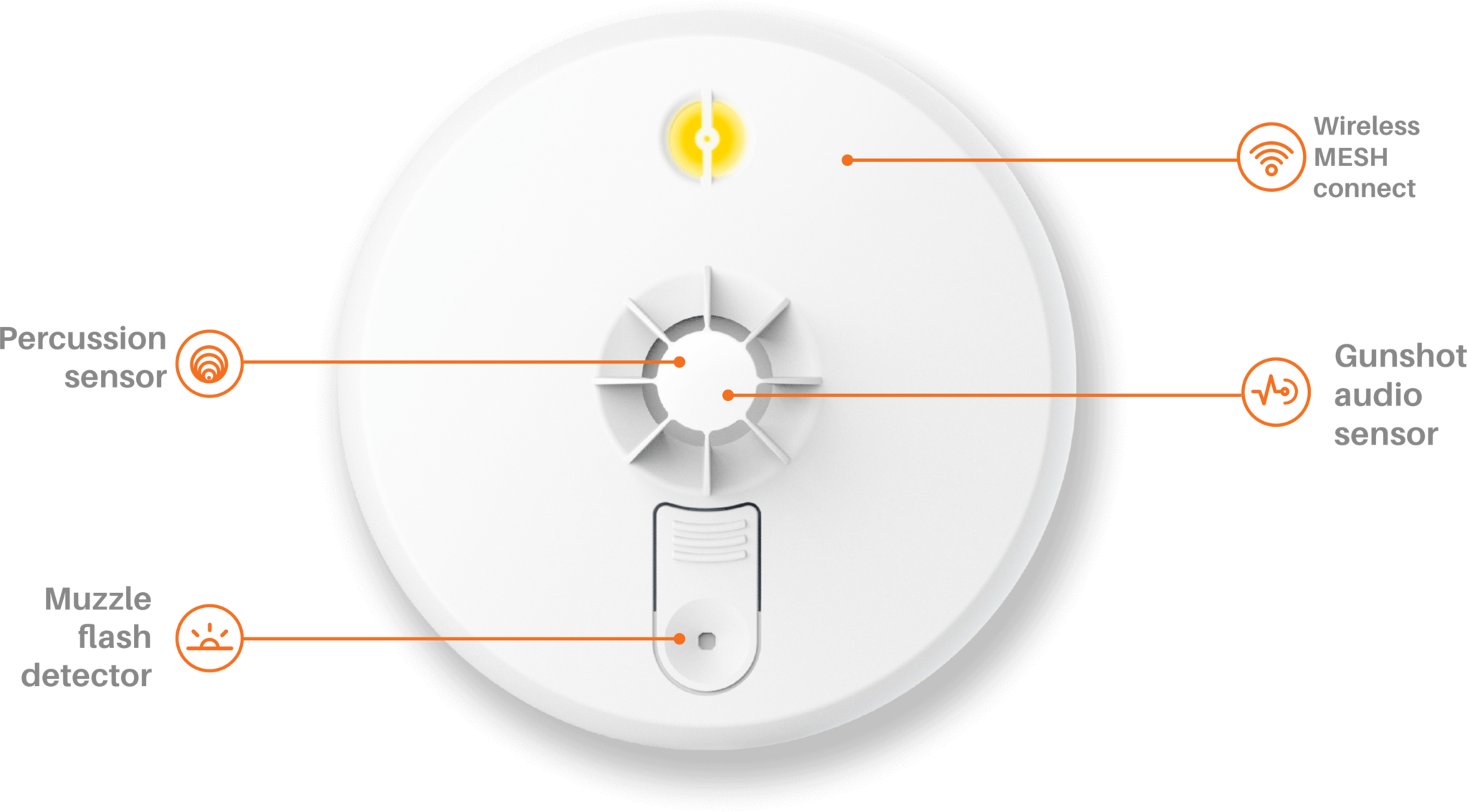 AmberBox | Eagle Eye Networks